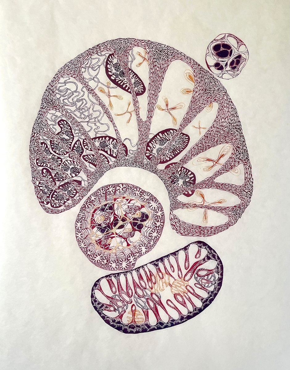 Artwork - Maria Doering Fine Art and Print